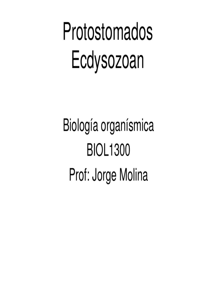 Protostomados - Ecdysozoa | PDF | Protostomas | Zoología