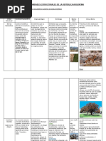 Informe Region NOA | PDF | Entorno natural | Ciencias de la Tierra
