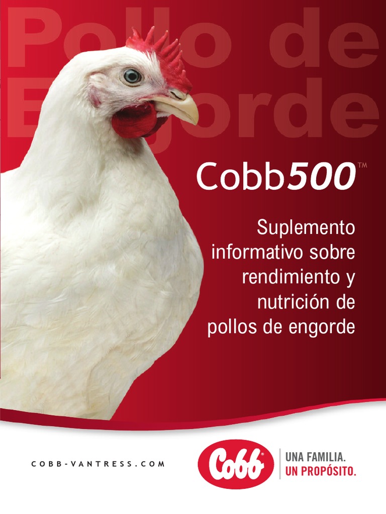 Manual Pollos de Engorde Cobb 500 2018 | PDF | Vitamina | Nutrientes ...