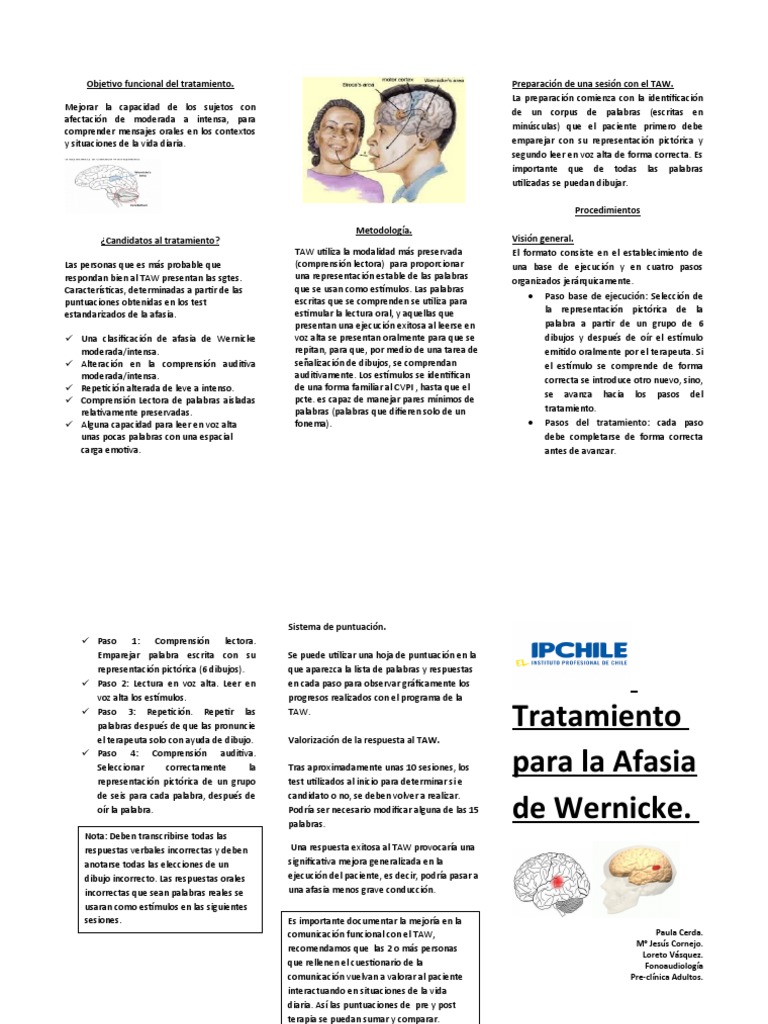 Triptico TAW Loreto | PDF | Afasia | Sistema nervioso
