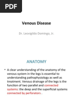 Terminology of Lower Limb Perforators | PDF | Vein | Foot