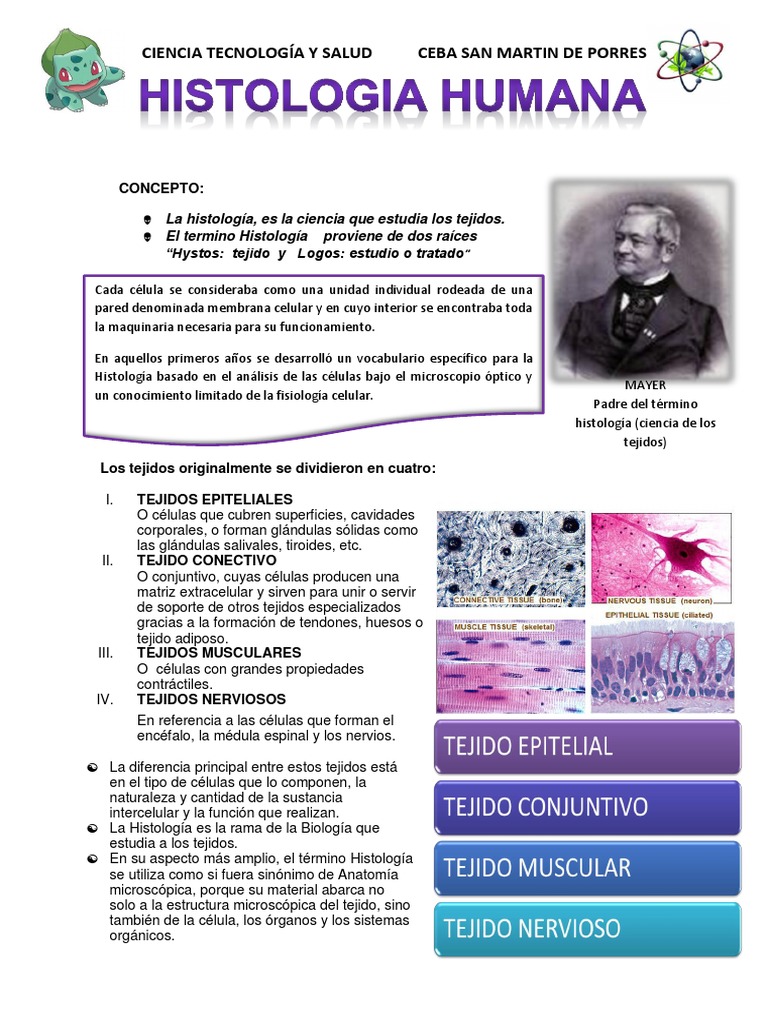 Introducción a la Histología y Clasificación de Tejidos | PDF | Epitelio | Tejido conectivo