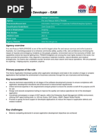 IT Officer Role and Responsibilities | PDF | Information | Behavior