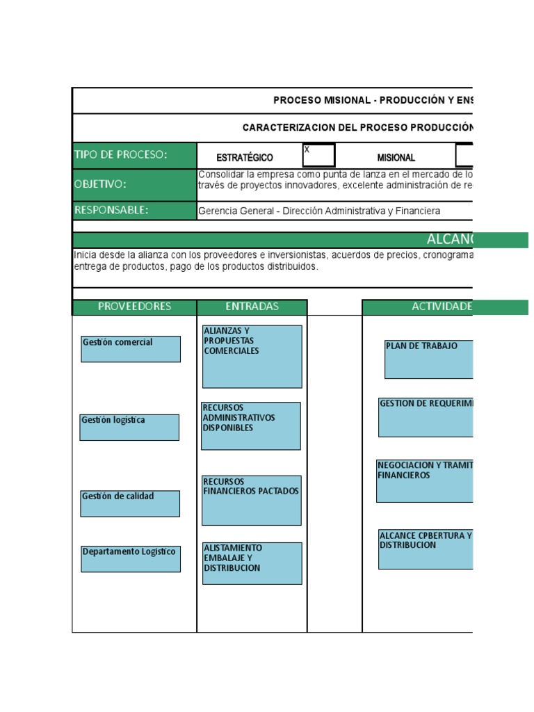 4 Ficha Caracterizacion de Procesos | PDF | Logística | Business