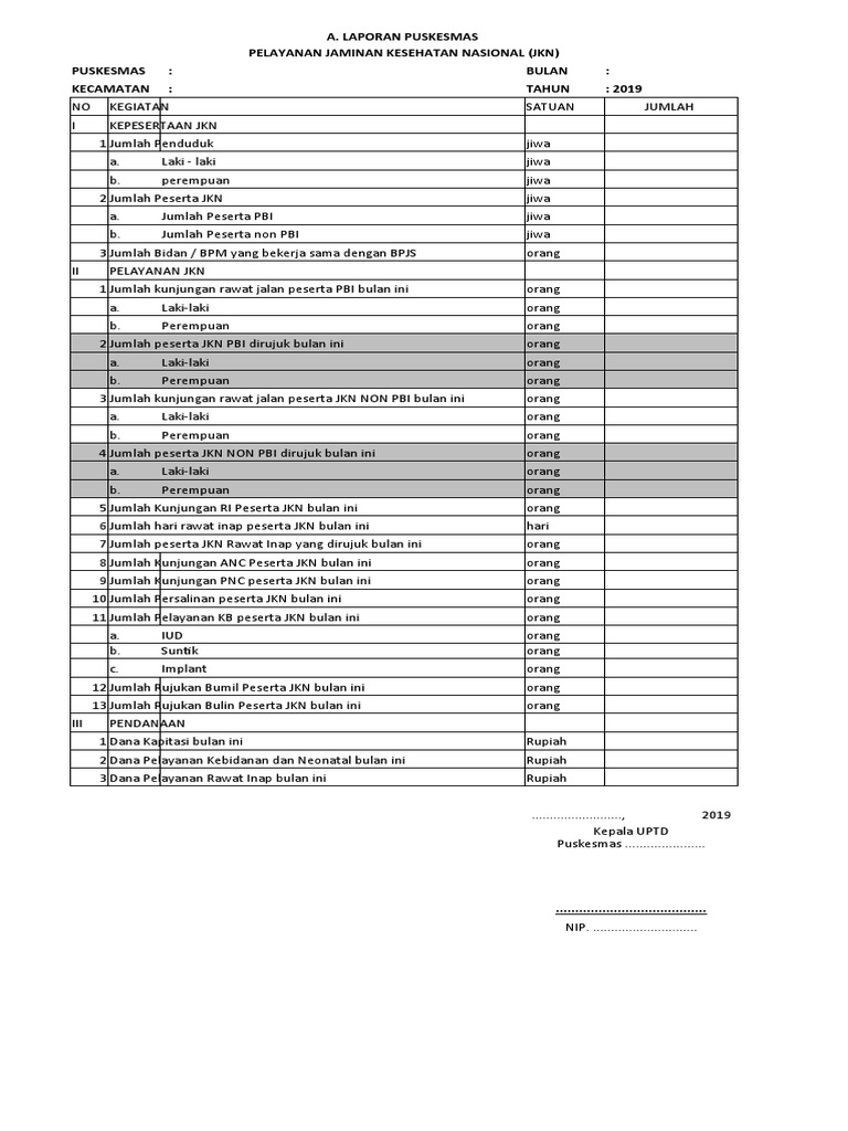 Format Laporan JKN | PDF