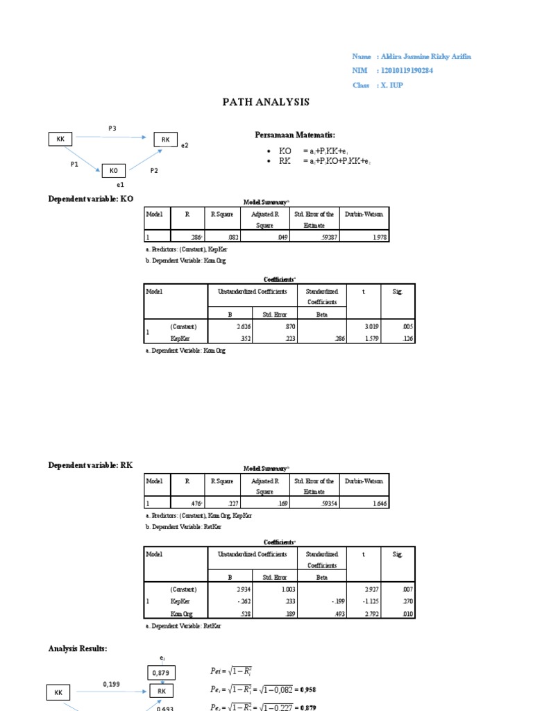 Path Analysis Results and Model | PDF | Dependent And Independent ...