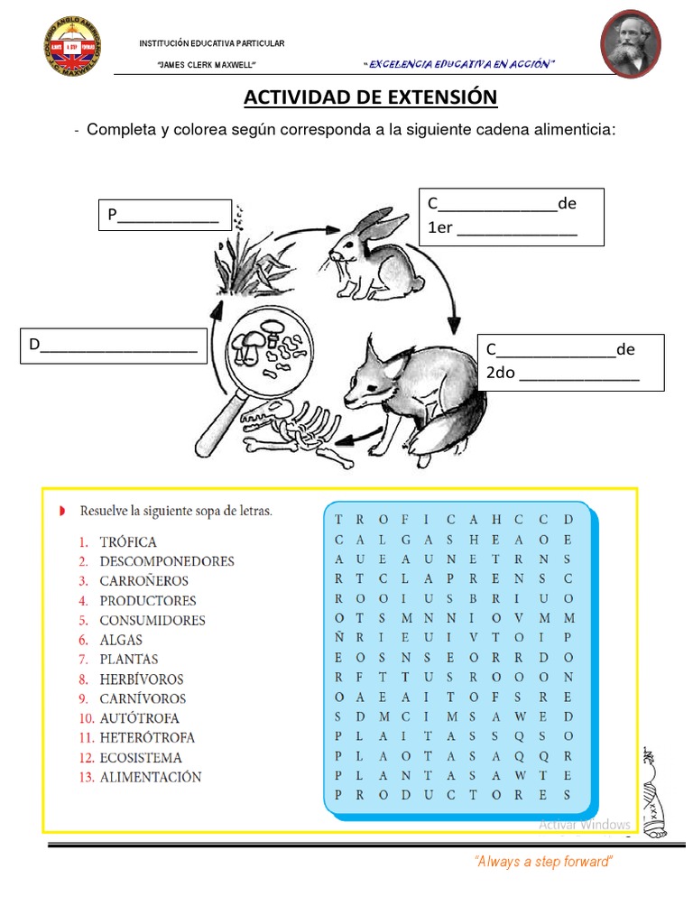 Actividad de Extensión #02 Cadena Alimenticia | PDF