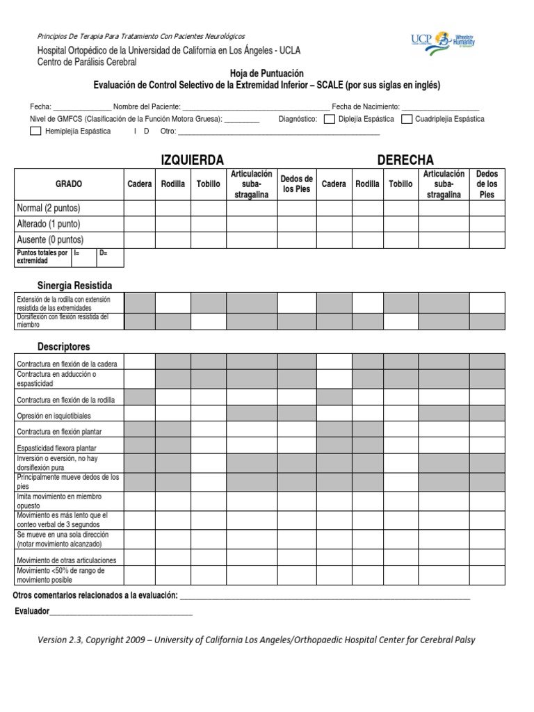 Selective Control Assessment of The Lower Extremity | PDF | Tobillo ...