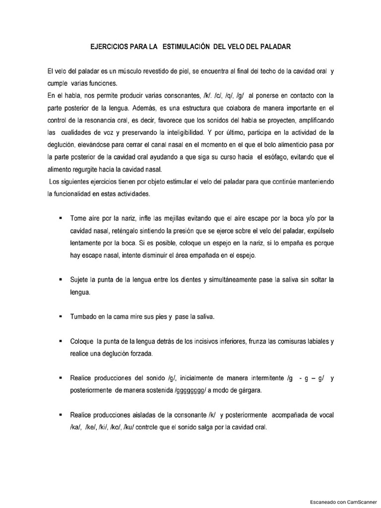 Ejercicios para El Velo Del Paladar | PDF