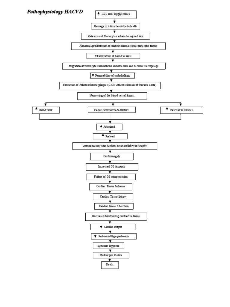 Pathophysiology of HACVD | PDF