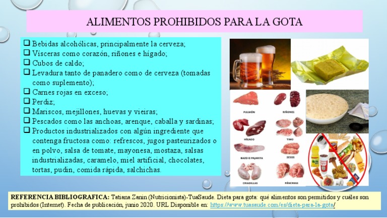 Alimentos Prohibidos para La Gota | PDF