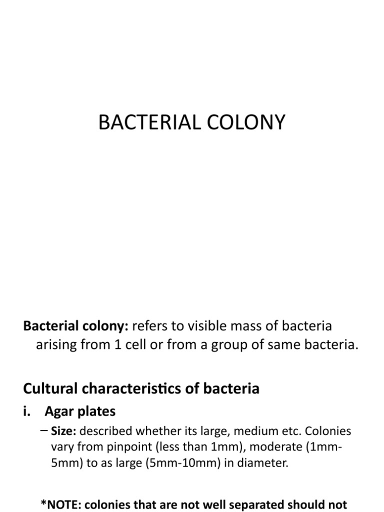 Bacterial Colony Characteristics Guide | PDF | Nature