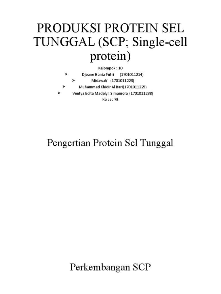 Produksi Protein Sel TUNGGAL (SCP Single-Cell Protein) | PDF