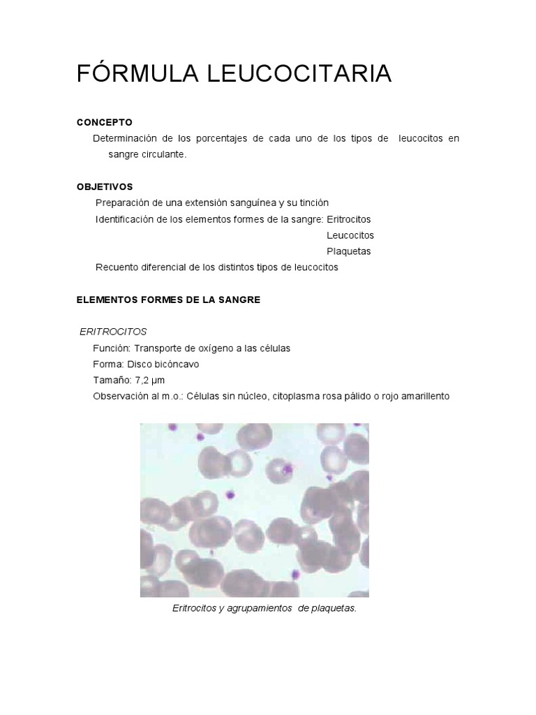 Fórmula Leucocitaria Hematocrito | PDF | Leucocito | Sangre