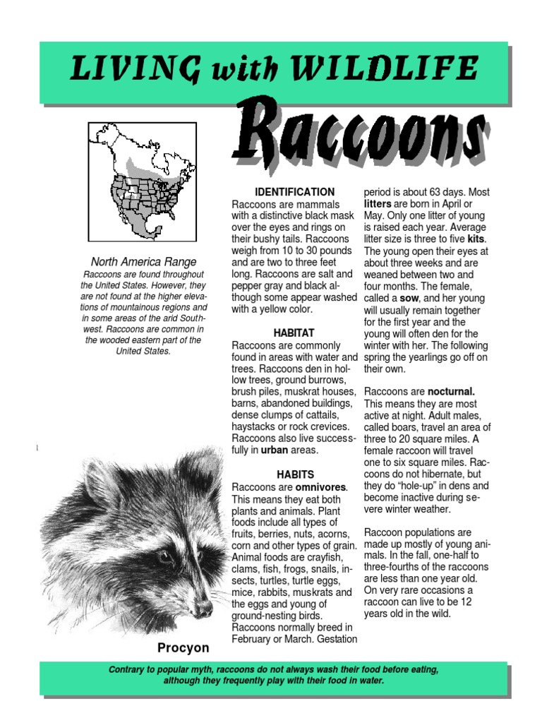 North America Range: Procyon | PDF | Raccoon | Animals And Humans