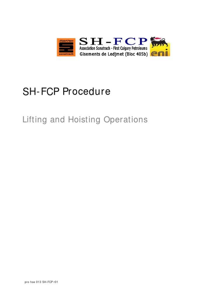 Lifting and Hoisting Safety Guidelines | PDF | Crane (Machine) | Elevator