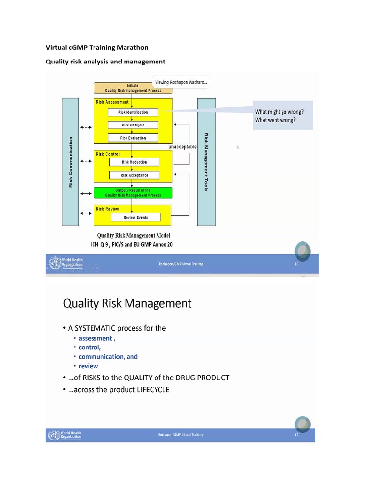 Quality Risk Analysis | PDF