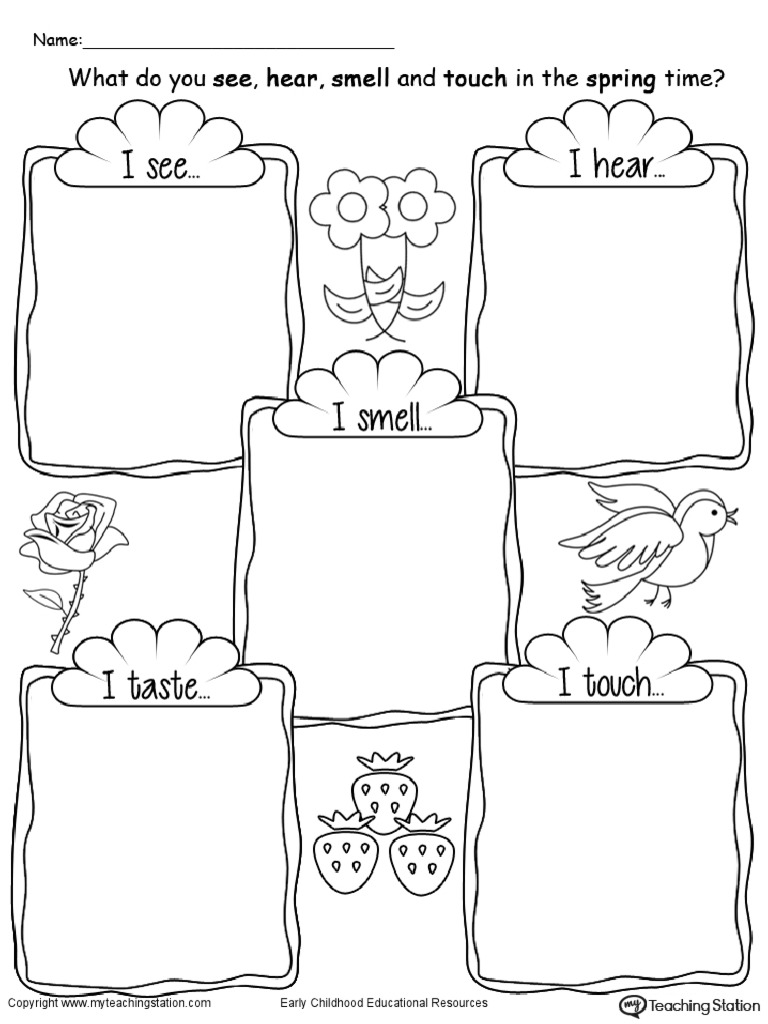 Spring Five Senses Worksheet | PDF