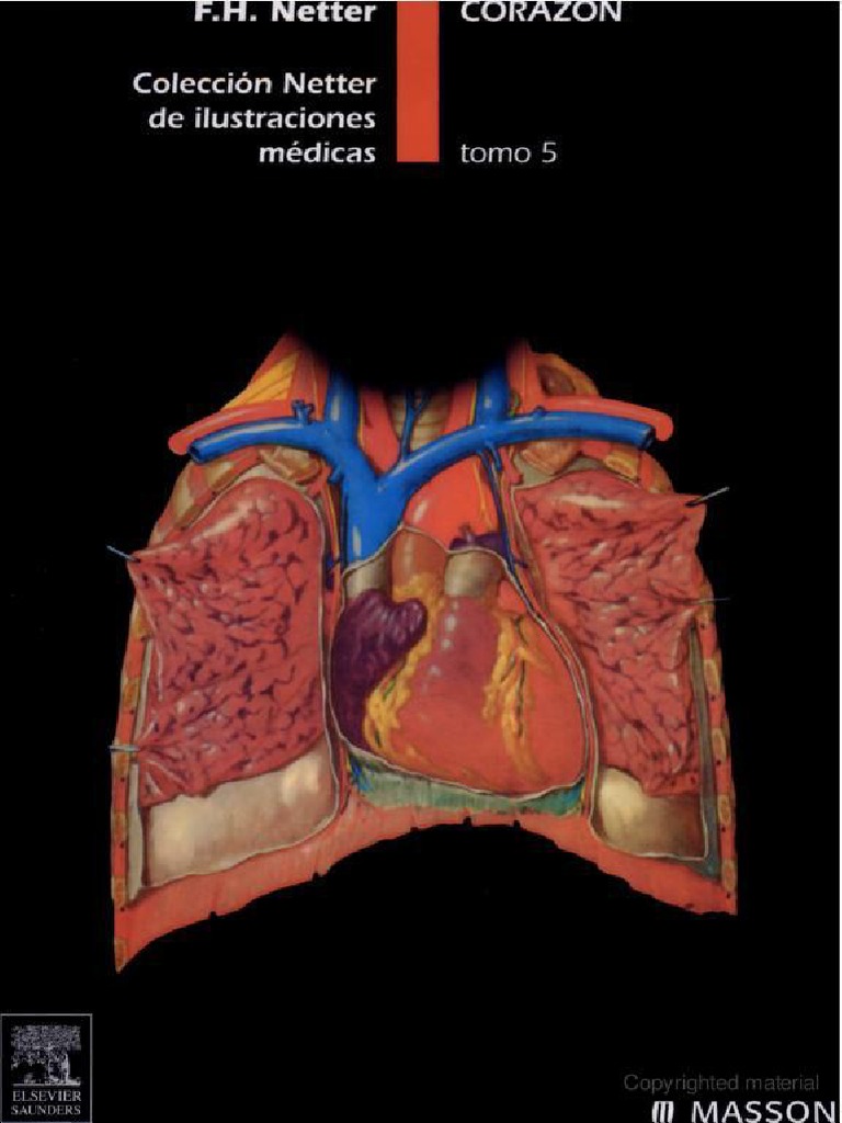 Netter Corazon PDF | PDF