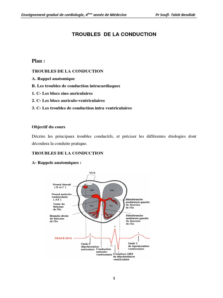 Troubles de La Conduction | PDF | Électrocardiographie | Cardiologie