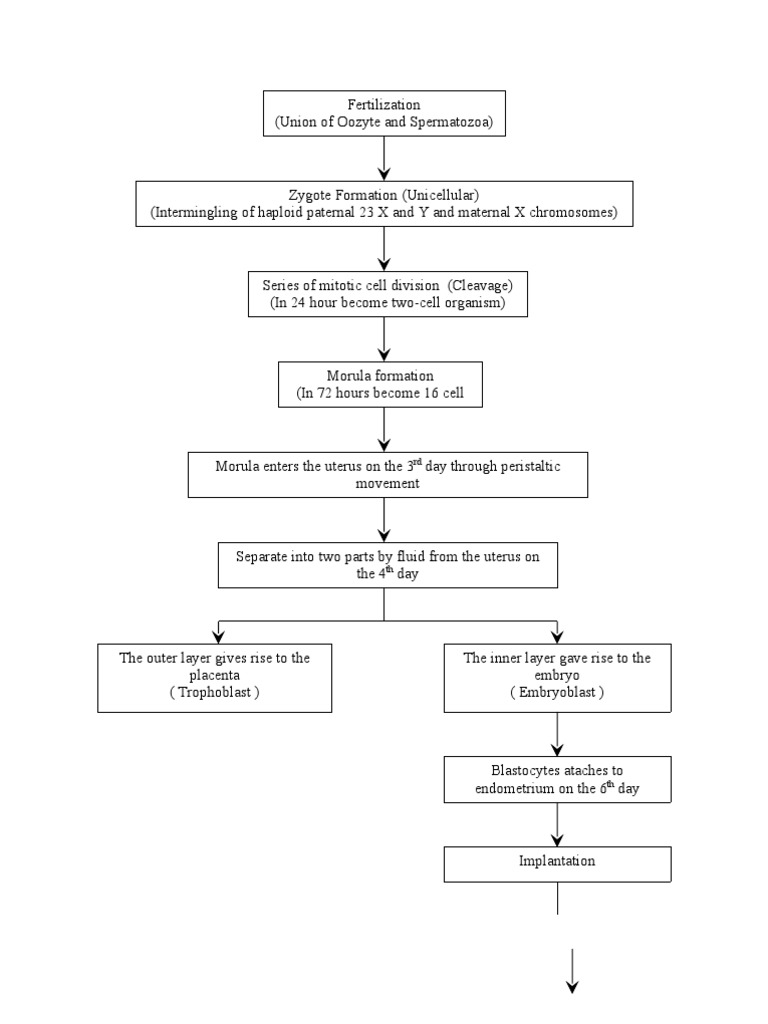Pathophysiology NSD Final | PDF