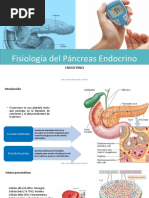 Flexiplen-B12 Prospecto | PDF | Medicamentos con receta | Droga anti ...