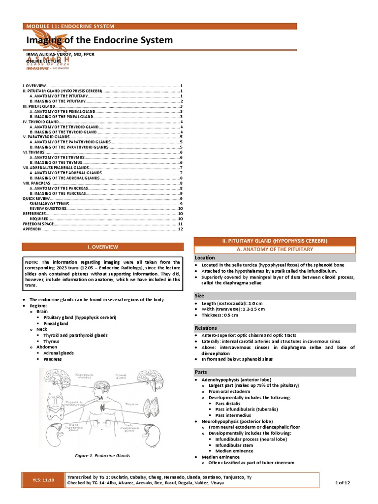 (11.10) Imaging of The Endocrine System (TG1-CG14) Final Version | PDF ...