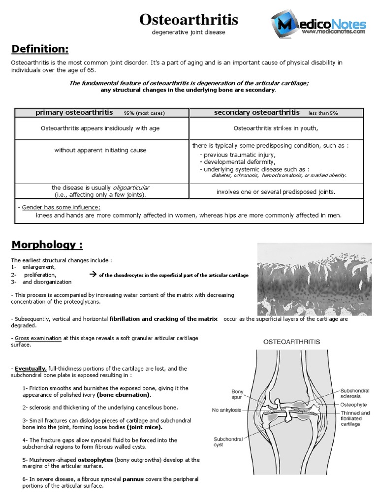 Pathology of Osteoarthritis | Download Free PDF | Osteoarthritis ...