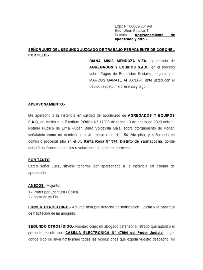 Apesonamiento de Apoderada | PDF