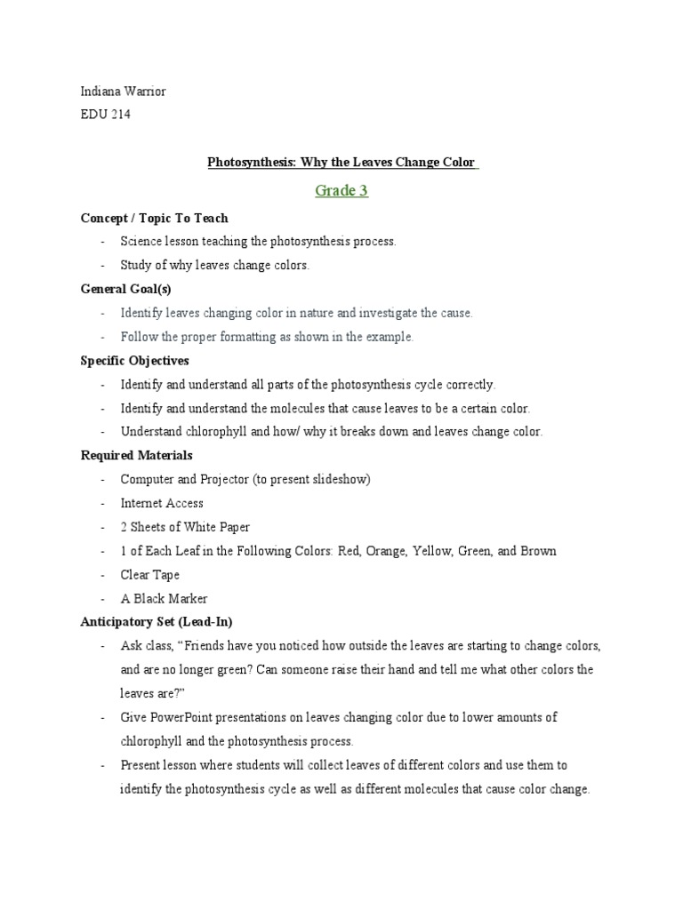 Photosynthesis and Leaf Color Change | PDF | Leaf | Photosynthesis