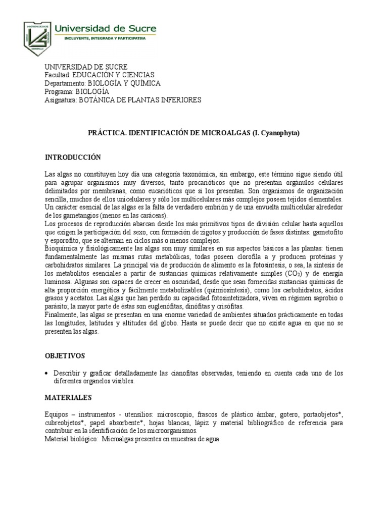 Guia Microalgas 1 (2 A 4) | PDF | Algas | Plantas