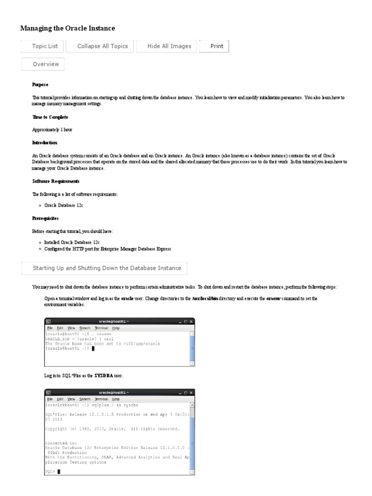 4-Managing The Oracle Instance PDF | PDF | Databases | Oracle Corporation