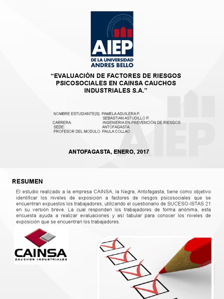 1 Primera Presentacion Cainsa | PDF | Liderazgo | Business
