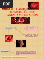 Efecto Poseiro | PDF | Placenta | Feto