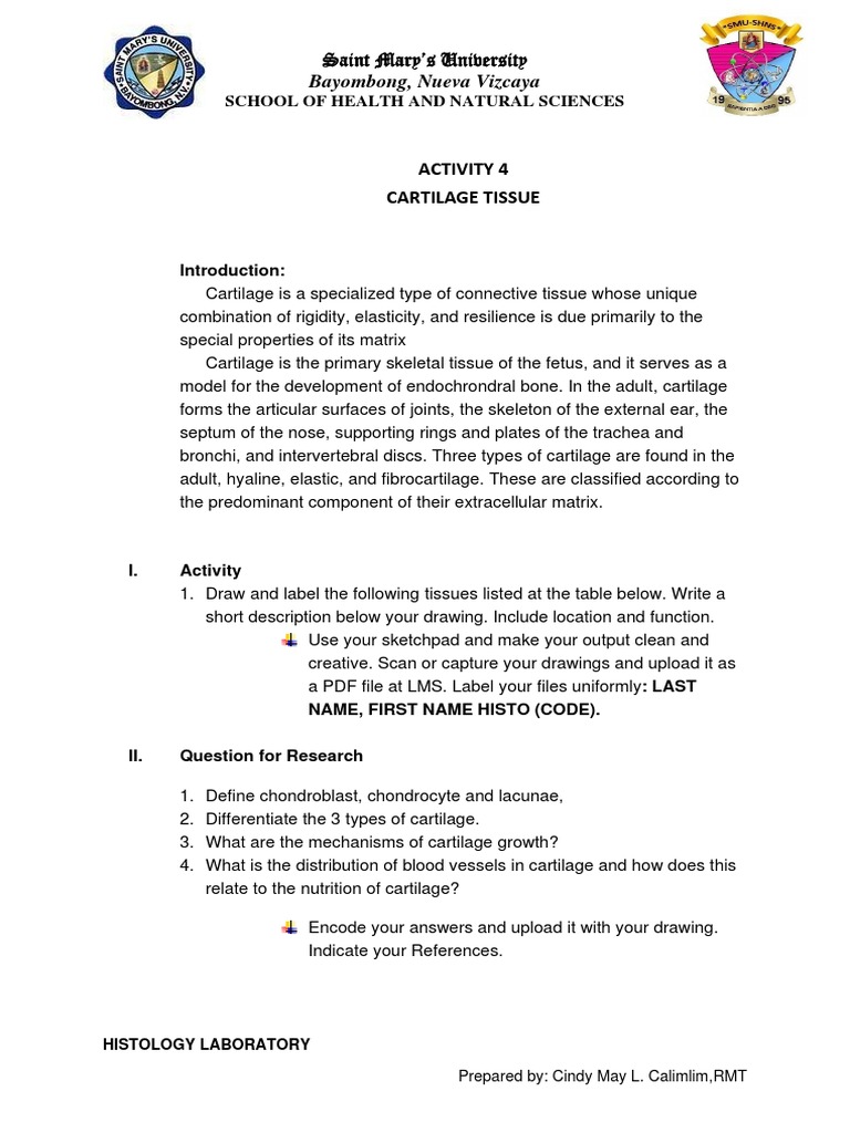 Histology Lab-Cartilage Activity | PDF | Cartilage | Anatomy