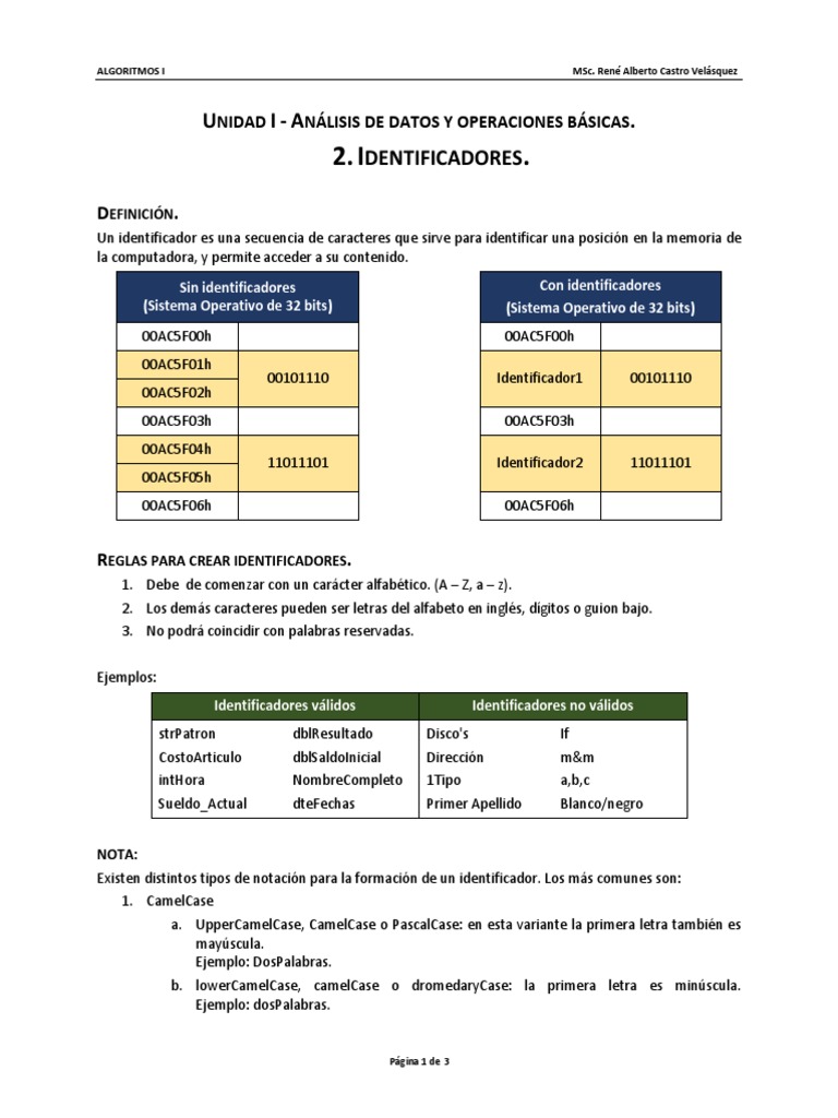 Identificadores en Programación: Definición y Ejemplos | PDF | Tipo de ...