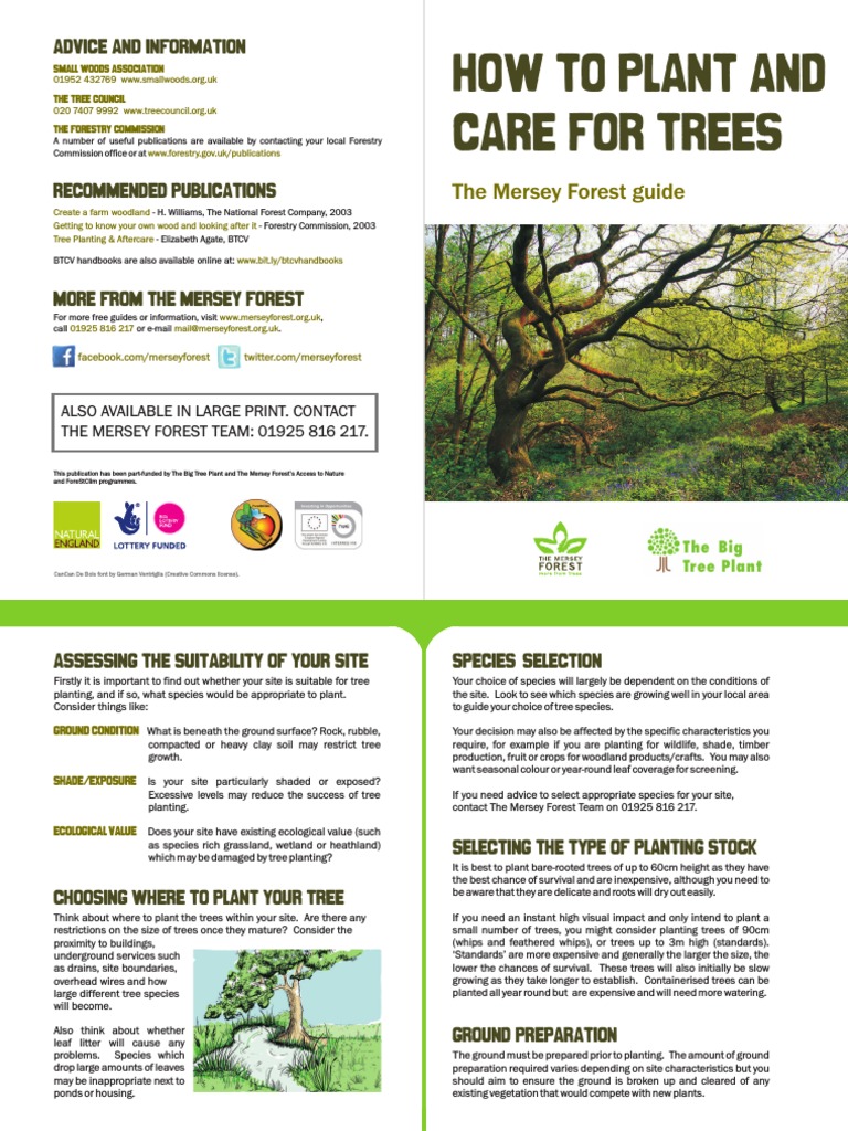 How To Plant and Care For Trees: The Mersey Forest Guide | PDF | Trees ...