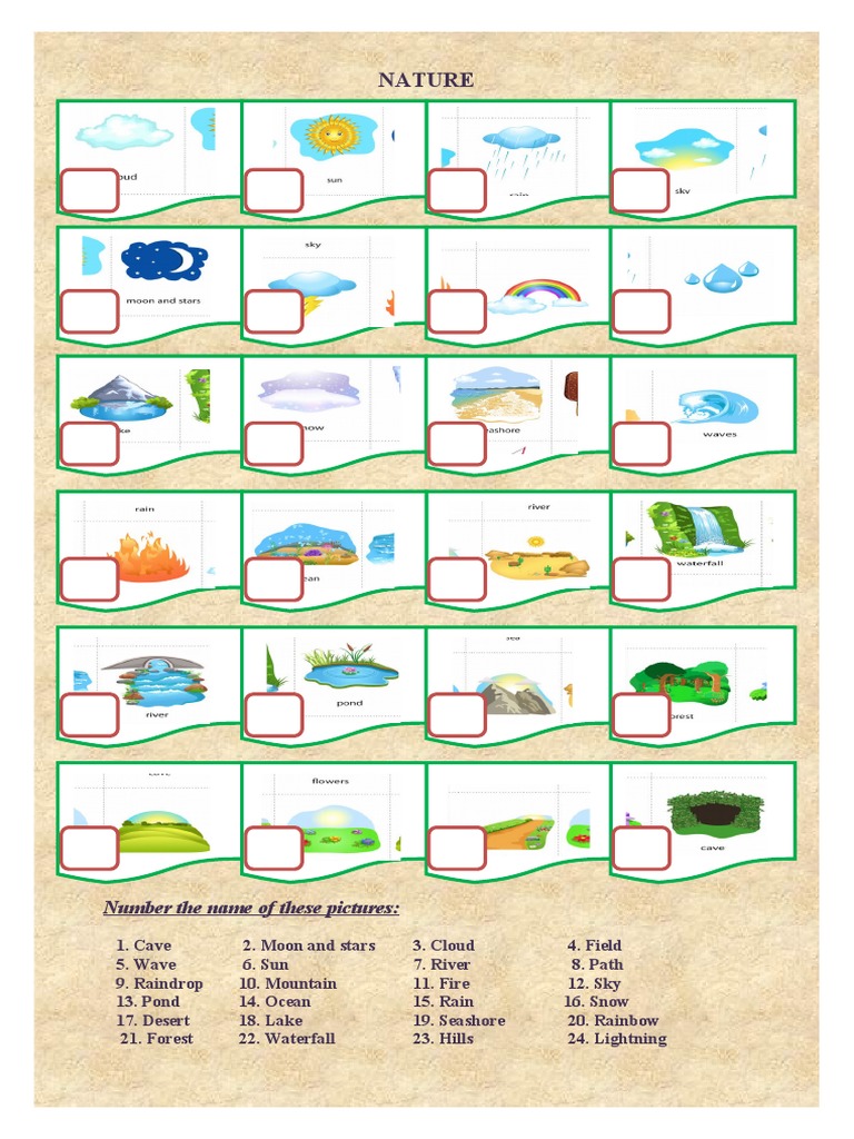 Nature Photo Identification List | PDF