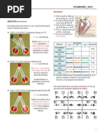 Reflejos Superficiales y Profundos | PDF | Codo | Pie