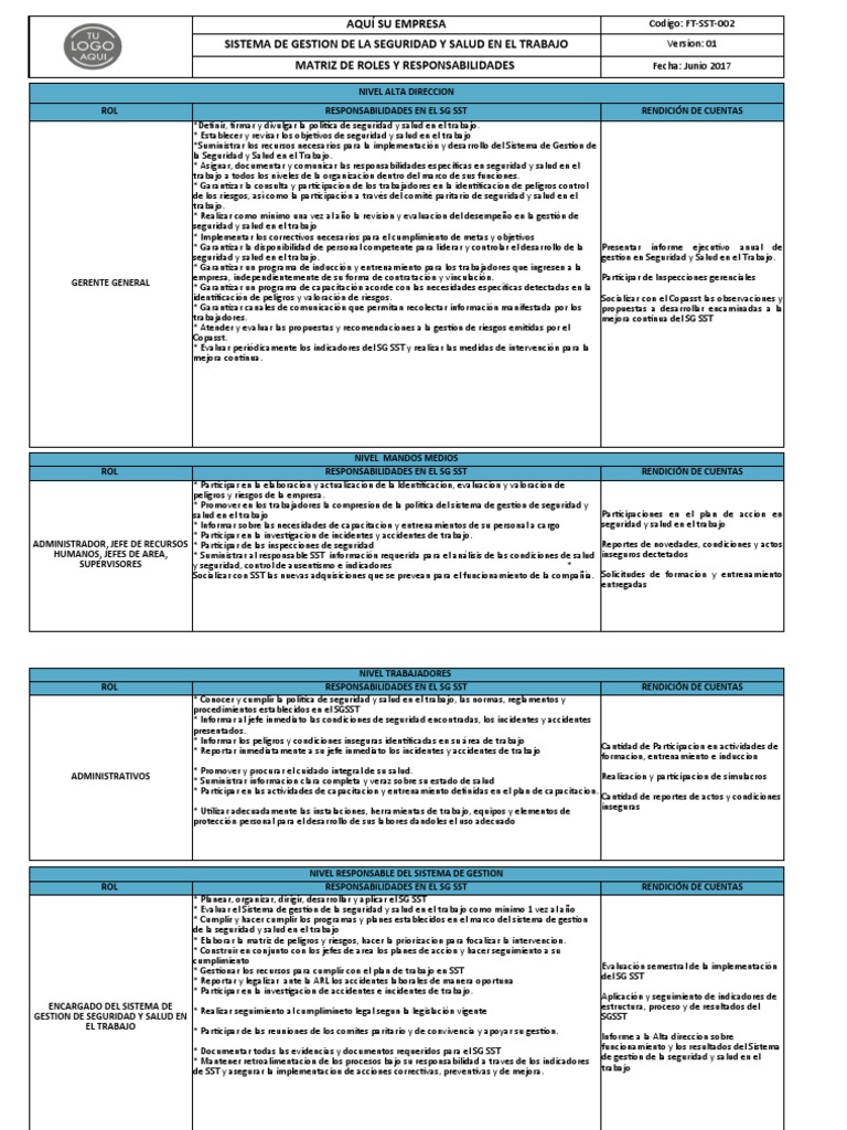 Formato Matriz de Funciones y Responsabilidades | PDF | Responsabilidad ...