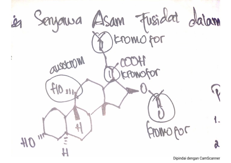Gugus Kromofor Dan Ausokrom Asam Fusidat | PDF