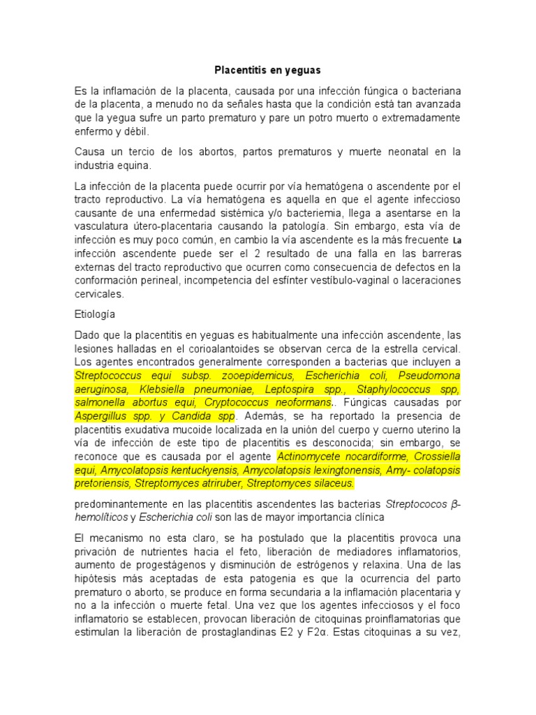 Placentitis en Yeguas | PDF | Inflamación | Parto prematuro