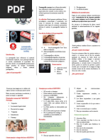 Triptico de DPCC - LA PORNOGRAFIA Y EL SEXTING | PDF