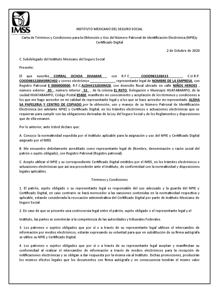 Formato de Carta de Terminos y Condiciones Imss | PDF | Business | Informática y tecnología de ...