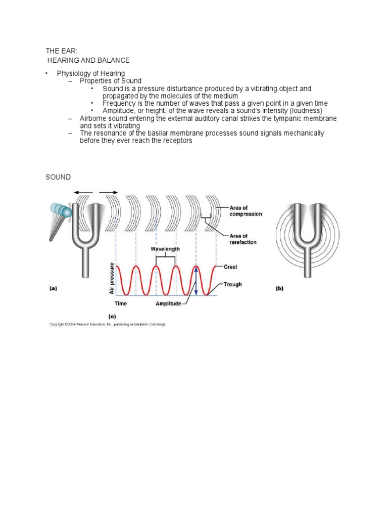 Group 6.the Ear Hearing and Balance - Homeostasis Imbalance | PDF ...