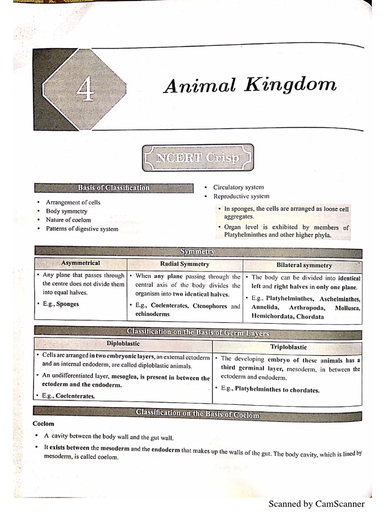Animal Kingdom | PDF