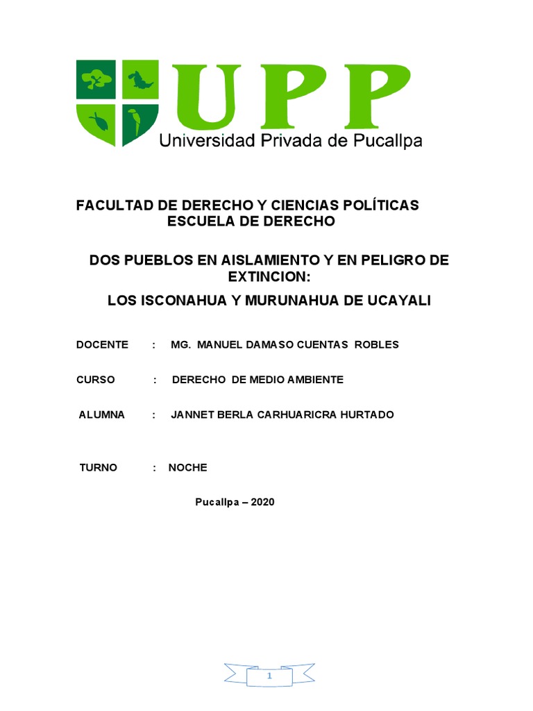 Trabajo de Los Isconahua y Murunahua de Ucayali | PDF ...