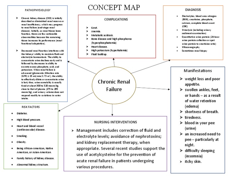 Chronic Renal Failure: Pathophysiology | PDF | Chronic Kidney Disease ...