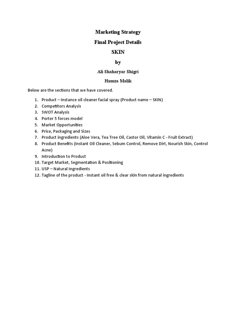 Marketing Strategy Project Outline | PDF