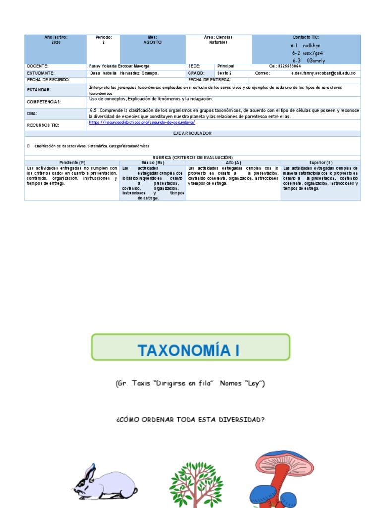 Actividad Semana 2 Agosto Taxonomia | PDF | Taxonomía (biología) | Especies